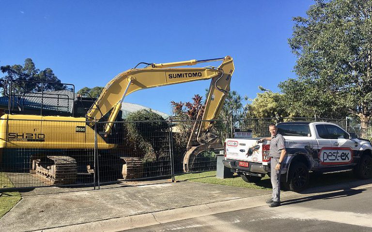 Gold Coast Home Bulldozed Due to Severe Termite Damage