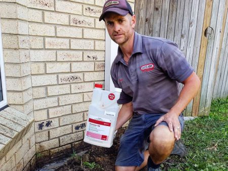 Termite Reticulation System - What You Need to Know