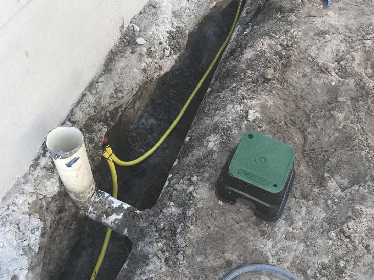 Termite Reticulation System - What You Need to Know