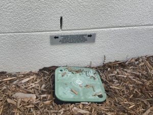 Termite Reticulation System - What You Need to Know