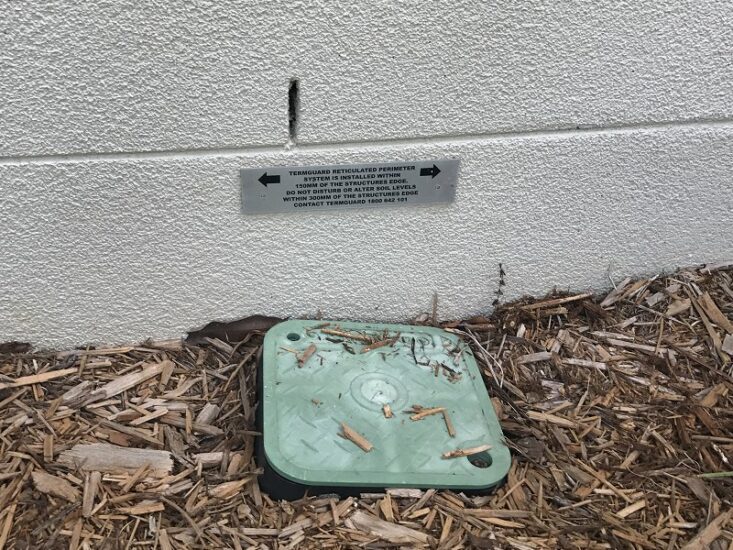 Termite Reticulation System - What You Need to Know