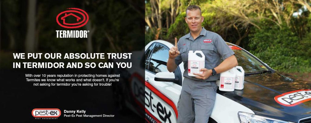 Pest Control Gold Coast | Expert Pest and Termite Treatments | Pest Ex